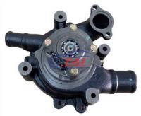 China W06E 16100-2531 Car Power Steering Pump For Hino , Diesel Engine Water Pump OEM 16100-2531 for sale