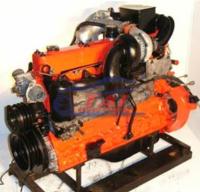 China 6QA2 6QB2 6RB1 6SA1 6SD1 6WA1 Isuzu Engine Spare Parts for sale