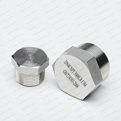 China Hexagonl 304L Stainless Steel Forged Pipe Fittings Gas SS Hex Plug for sale