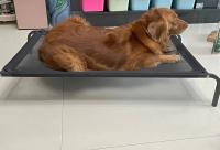 China Custom Pet Folding Bed Elevated Raised Dog Bed For Outdoor Waterproof Dog Bed for sale