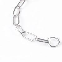 China Hot selling dog chain metal pulling rope bite-proof  stainless steel dog collar for sale