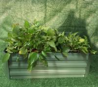 China Outdoor Vegetable Planting Elevated Garden Bed with Customized Size Logo and Galvanized for sale