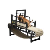 China Custom Quality Large Dog Treadmills Slat Mills for Dogs Training Equipment Noiseless for sale