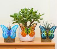 China Unique 3D Butterflies Wall Hangings Medium Size Metal Art for Indoor and Outdoor Decor for sale