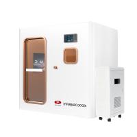China Single-Person Mild Hyperbaric Oxygen Cabin SA-MHC-1R for sale
