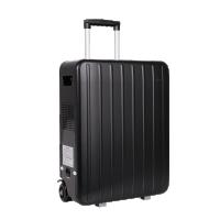 China 3L ， Handheld Suitcase Oxygen Concentrator， VIGO-PSA-3000 for sale