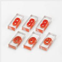 China Acrylic Lead Letters for X-ray Markers 17.2x6.8x3.4 mm with 8x5x1.5 mm Lead Core - Medical Imaging Identification Tools for sale