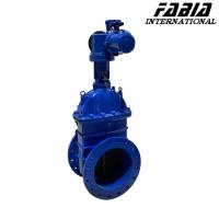 China Cast Iron Soft Seal Flange Elastic Seat Switch Valve Hand Electric Gate Valve for sale