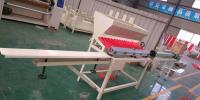 China Auto Labeling Adhesive BOPP  Gum Tape Slitter Rewinder Machine for sale