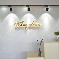 China Custom Brushed Gold Metal Back Luminous Stainless Steel Channel Letter LED Sign 6000K 30000Hrs for sale