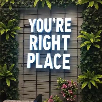 China Custom Outdoor LED Front Light Letters 6000K High Visibility Illuminated Signage for Storefronts for sale
