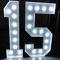 China Custom Giant Marquee Letters LED Numbers for Wedding Party Outdoor Light Up Bulb Signs 6000K 2kg for sale