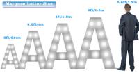 China LED Acrylic Marquee Letters 50,000 Hours Outdoor Illuminated Sign for Landmark Display for sale