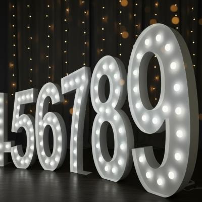 China OEM DC Powered LED Metal Letters 3ft-5ft IP65 Waterproof for Outdoor Advertising Commercial Displays for sale