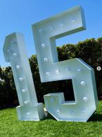China Customizable Dimmable LED Marquee Numbers Letters 3ft 4ft 5ft Water Resistant Party Sign for sale