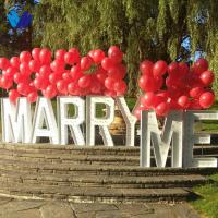 China LED Marquee Letter Sign 50cm White Light Dimmable Waterproof PVC Stainless Steel Wedding Party Decor for sale