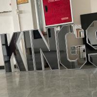 China Hongsen Custom Outdoor Giant 3D LED Marquee Numbers 3ft 4ft Mirrored Letters for Party for sale