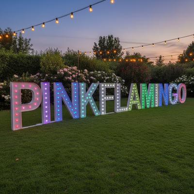 China Custom Marquee Letters Numbers High Brightness LED DC Powered RGB Light for Indoor Outdoor Advertising for sale