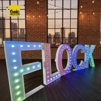 China RGB Multi-color Marquee Letters with High Brightness LED Bulbs for Wedding Advertising DC 12V for sale