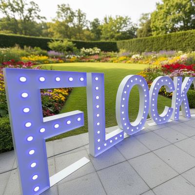 China Custom DC LED Wedding Marquee Letters 2ft 3ft 4ft 5ft CE RoHS for Outdoor Events Business Decorations for sale