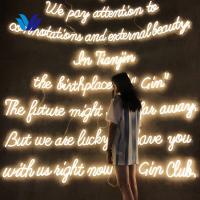 China HONGSEN Custom Neon Flex Strip Light LED Decorative Neon Lamp 12V 1000mm for sale