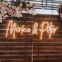 China Customizable LED Flexible Neon Lights 1000mm x 340mm DC 12V for Holiday Decoration for sale