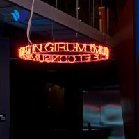 China Custom LED Neon Sign 1000mm x 340mm DC 12V for Gaming Bar Business for sale