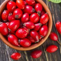 China Bulk Organic Rosehip Oil Moisturizer Characteristic Flavor for sale