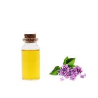 China Vishmanni Aromatherapy Natural Clove Extract Oil For Skincare for sale