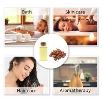 China CAS 8007 70 3 Herbal Essential Oils Star Anise Essential Oil For Health Care for sale