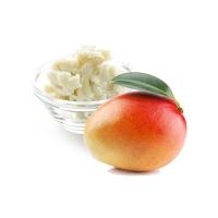 China MSDS Shea Butter Body Butter , Organic Raw Mango Butter Unrefined natural for sale