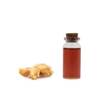 China Vishmanni CAS 8007 08 7 Herbal Essential Oils Ginger Oil For Massage Distilled for sale