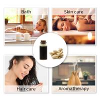 China Therapeutic Grade Ginger Extract Oil For Hair Care CAS 8007 08 7 for sale