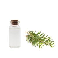 China Anti Inflammatory 100 Pure Organic Essential Oils Tee Tree Essential Oil CAS 68647 73 4 for sale