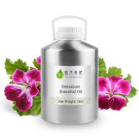 China Cas 8000 46 2 Aromatherapy Essential Oils Pure Organic Rose Geranium Essential Oil for sale