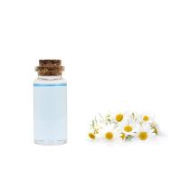 China Chrysanthemum Aromatherapy Essential Oils  Roman Chamomile Essential Oil For Body for sale