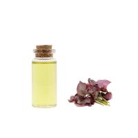 China Anti Aging Organic Perilla Leaf Oil , Aromatherapy Fragrance Oil 5KG for sale