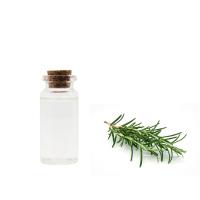 China 5KG Aromatherapy Essential Oils Organic Rosemary Essential Oil For Wrinkles Prevention for sale