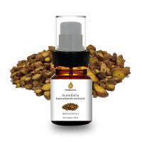China Natural Scutellaria Baicalensis Extract for sale