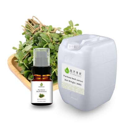 China 30KG 100ML Natural Hydrosol Purslane Oil Yellow For Disperse Wind Relieve Pain for sale