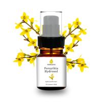 China Colorless Natural Hydrosol Forsythia Extract Clearing Away Heat Detoxification for sale