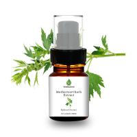 China Anti Inflammatory Natural Hydrosol Motherwort Extract Through Water Distillation for sale