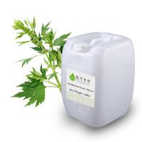 China Anti Inflammatory Natural Hydrosol Motherwort Extract Through Water Distillation for sale