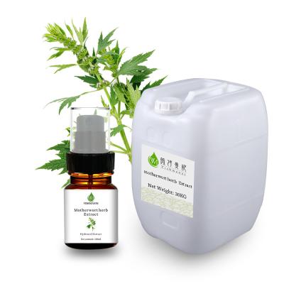 China Anti Inflammatory Natural Hydrosol Motherwort Extract Through Water Distillation for sale