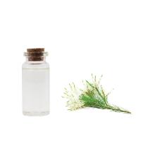 China Therapeutic Grade Cajuput Essential Oil For Aromatherapy Diffusers for sale