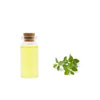 China Anti Cancer Aromatherapy Essential Oils Wild Mediterranean Oregano Oil CAS 8007-11-2 for sale