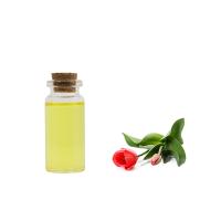 China Aromatherapy Tulip Essential Oil , Tulip Fragrance Oil 5KG Candle Making for sale