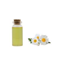 China Flos Chrysanthemi 100 Organic Essential Oils Pure 5KG For Skincare for sale