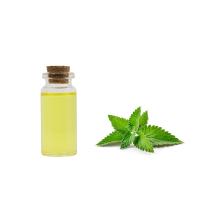 China Cas 106 22 9 Hyssopus Pure Vanilla Essential Oil For Perfume Long Lasting for sale