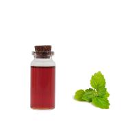 China Rheumatism Dispelling 100 Natural Essential Oils Patchouli Essential Oil Cas 8014 09 3 for sale